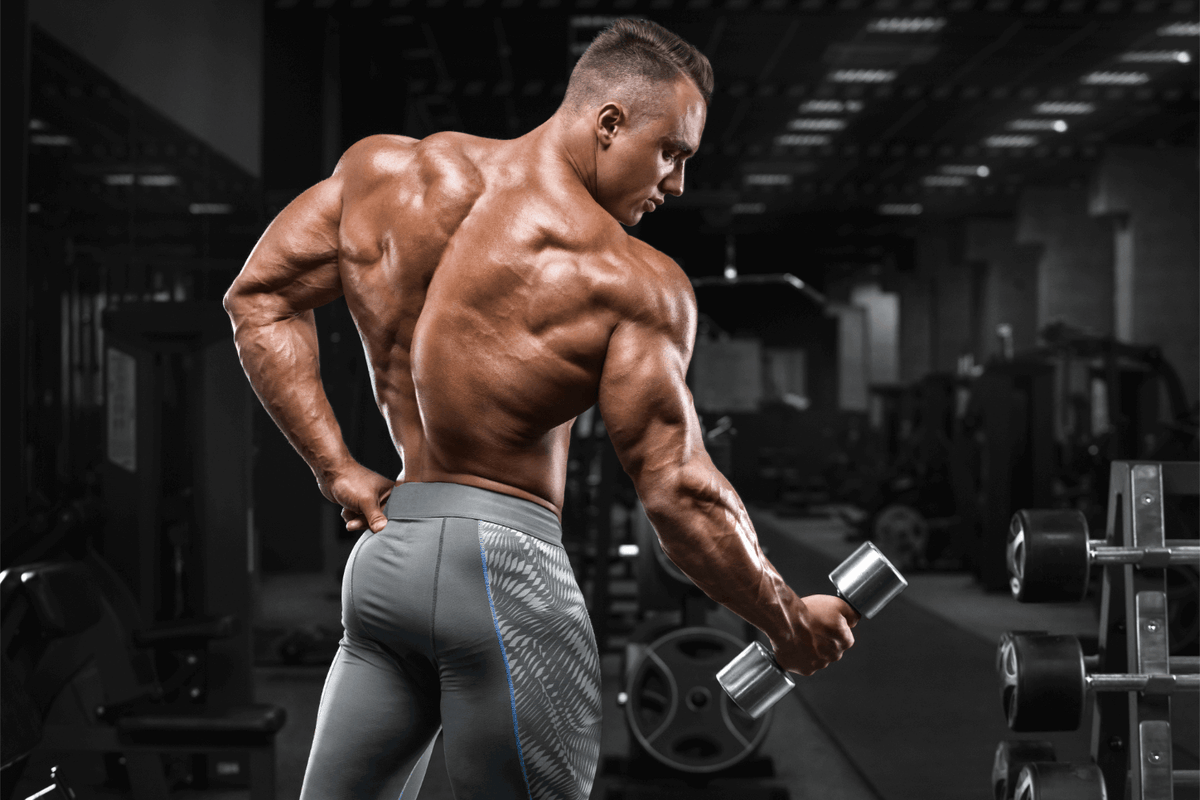 IGF-1 and Increased Muscle Mass | Nutronics Labs